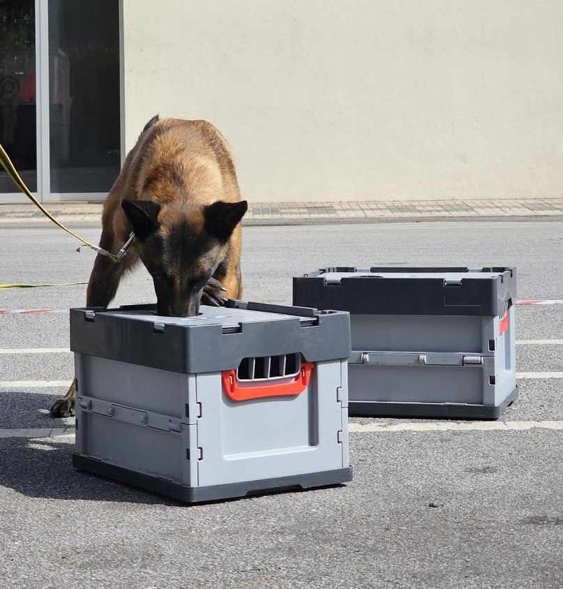 Home | Legend K9 / Your source for quality dog sport equipment